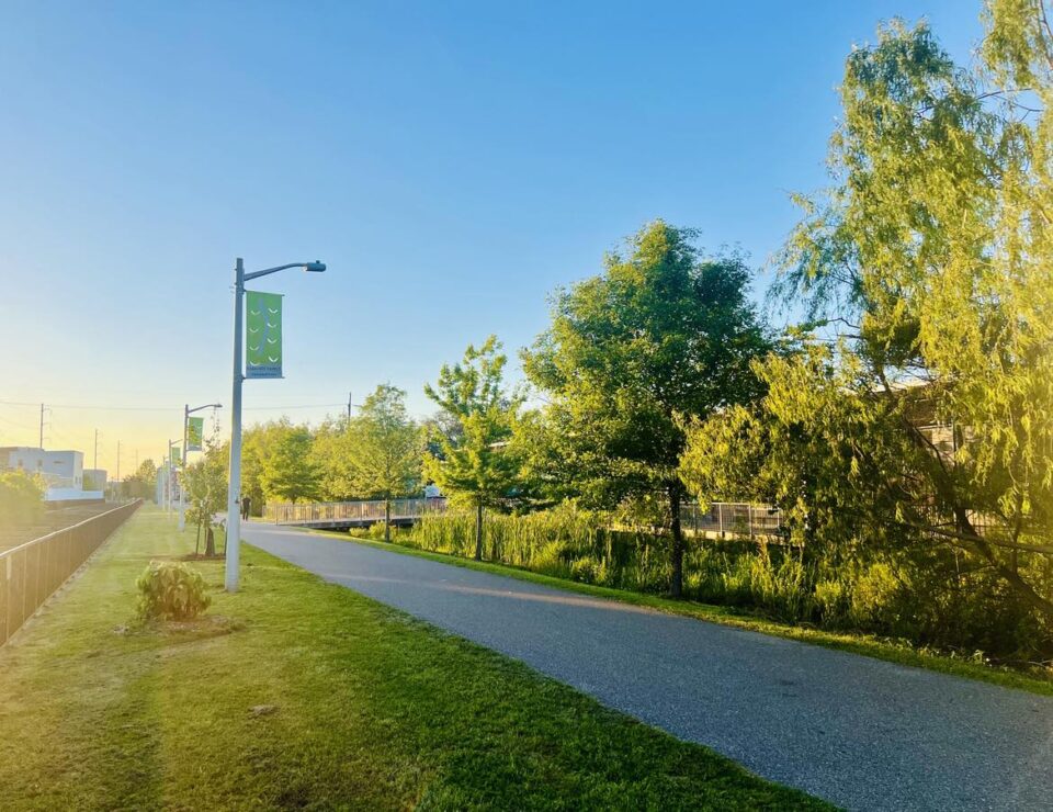 Lafitte Greenway BioBlitz – May 11th – Louisiana Master Naturalists